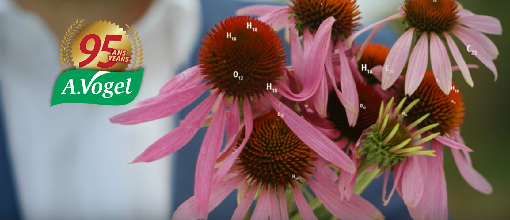 A.Vogel | The official site for information on Phytotherapy and Homeopathy.