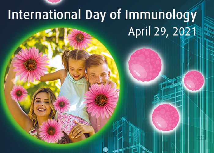 How does your immune system protect you?