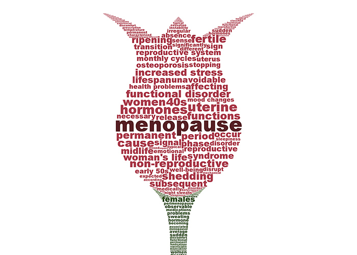 Qu’est-ce que la ménopause?